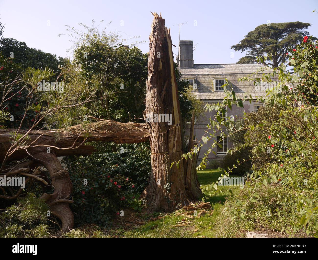 Storm eunice 2022 hi-res stock photography and images - Alamy
