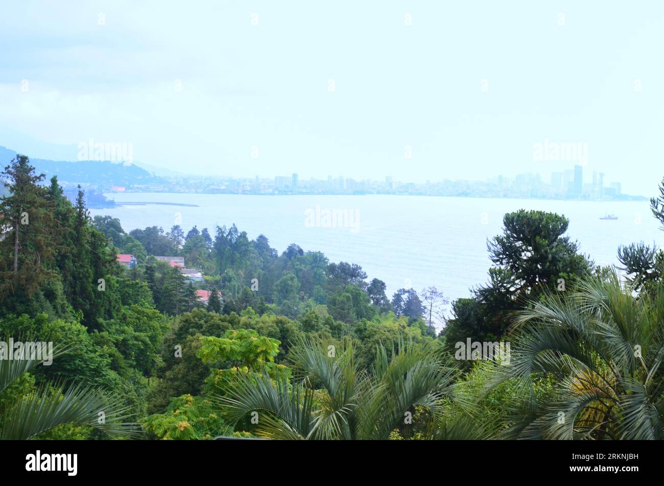 Batumi botanical garden hills covered with tropical rainforest over the ...