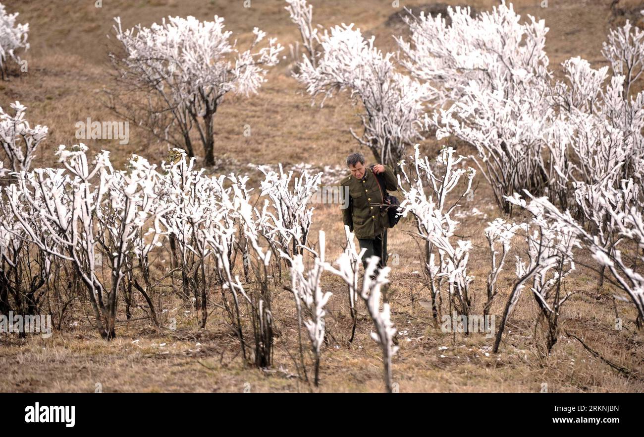 Deforestation and poaching hi-res stock photography and images - Alamy