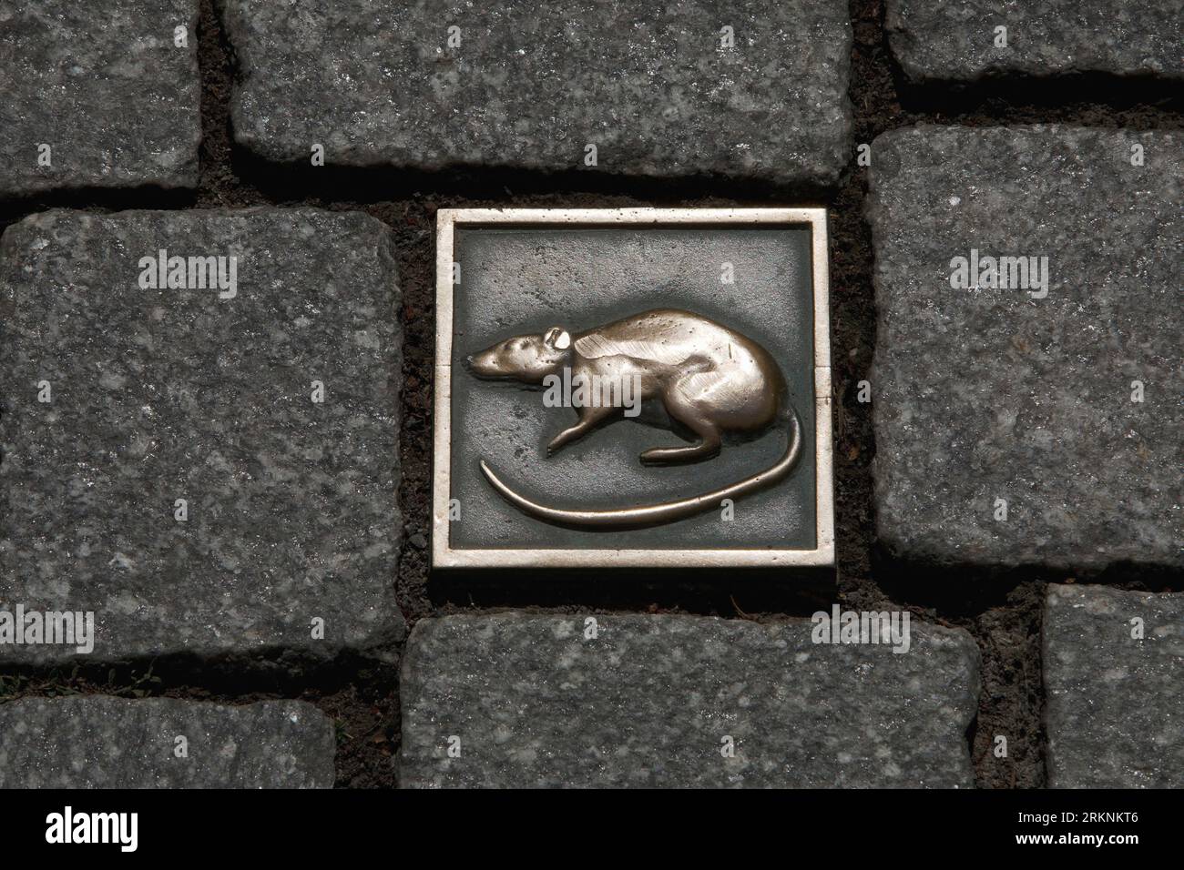 Rat Stone, circular walk through the old town based on the legend of ...