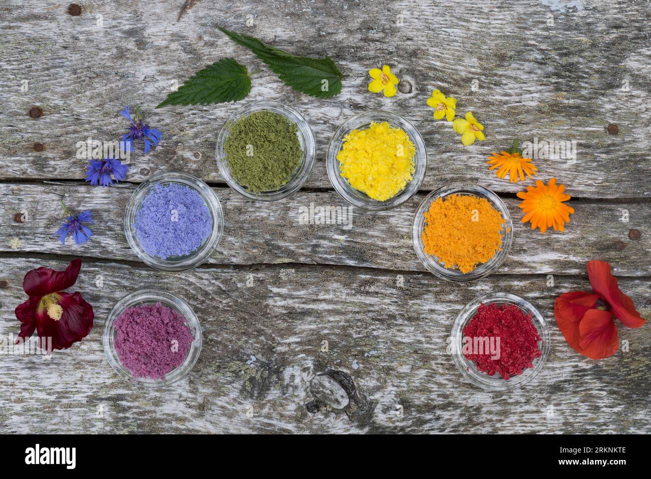 herbal salt from flowers and leaves made from hollyhook, common chicory ...