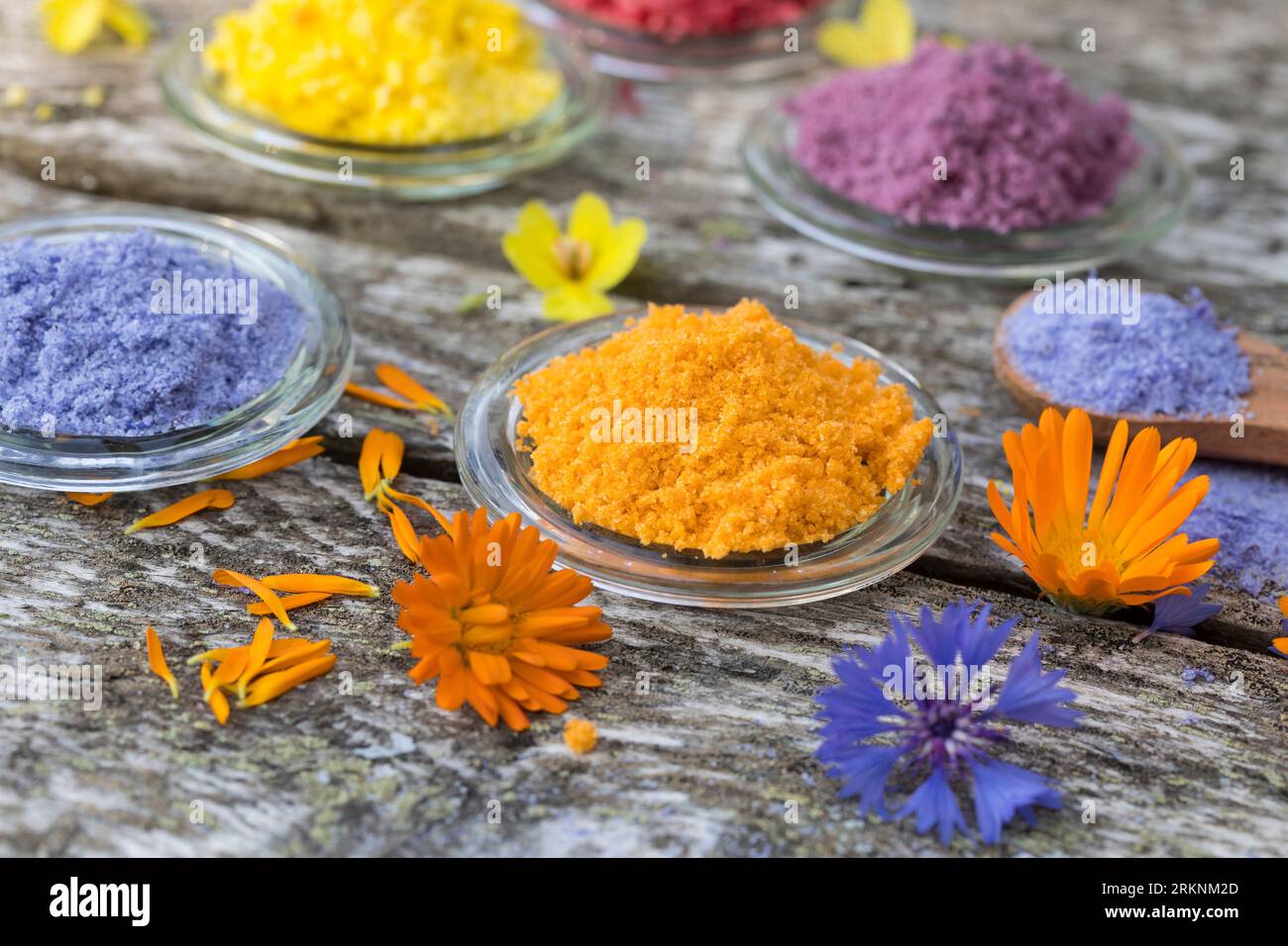 herbal salt from flowers and leaves made from hollyhook, common chicory ...