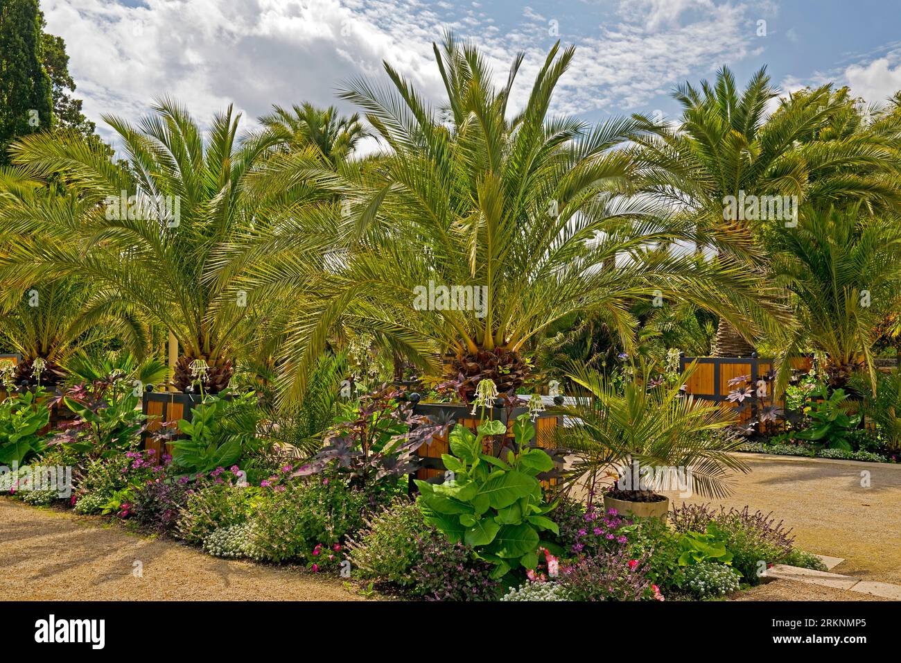 Palm Garden, the largest outdoor palm garden north of the Alps, Bad ...