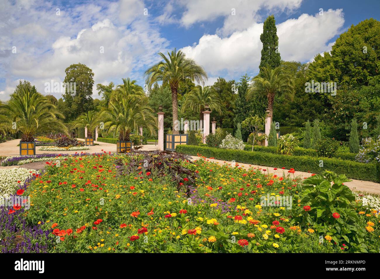 Palm Garden, the largest outdoor palm garden north of the Alps, Bad ...