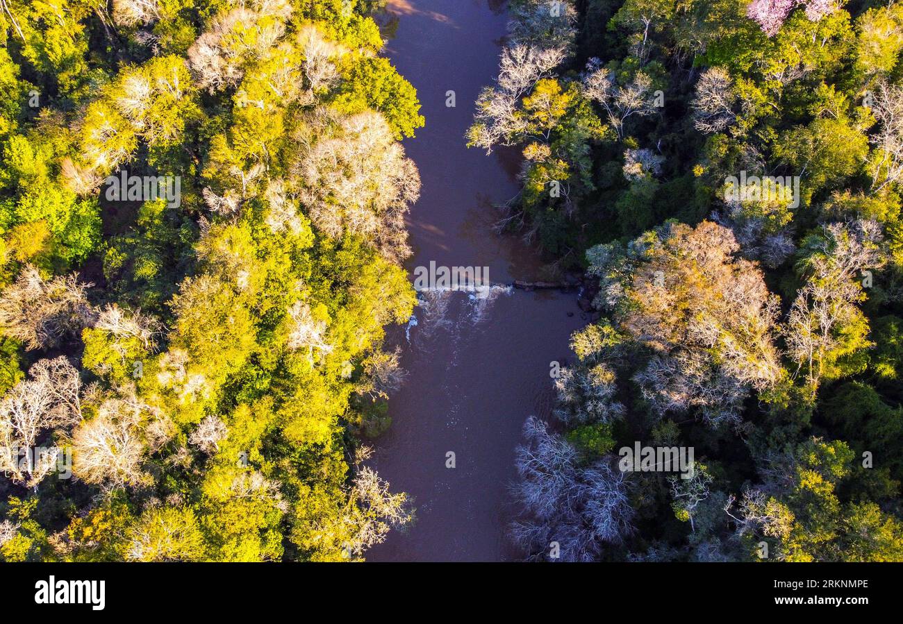 Bonpland hi-res stock photography and images - Alamy