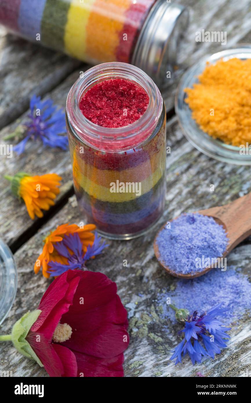 herbal salt from flowers and leaves made from hollyhook, common chicory ...