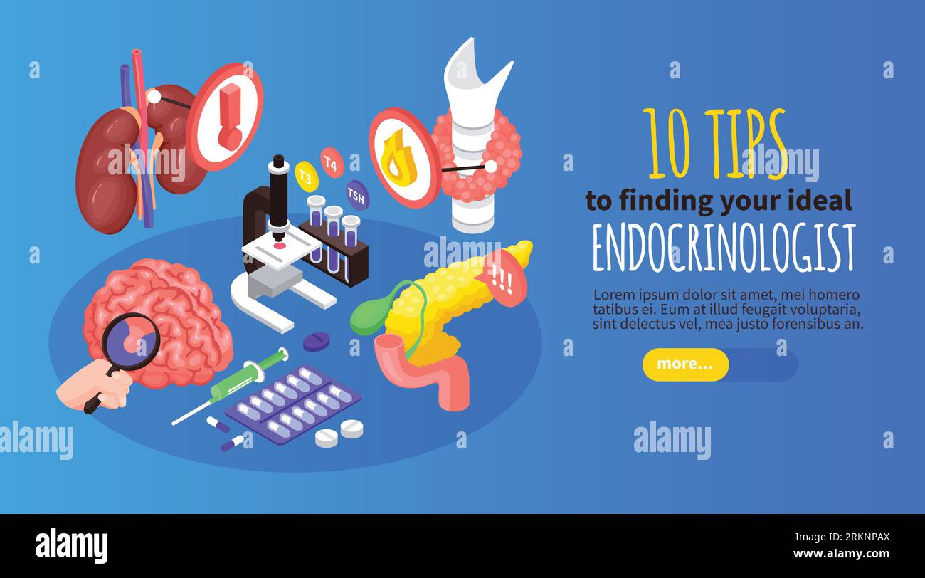 Hypothalamus vector vectors Stock Vector Images - Alamy