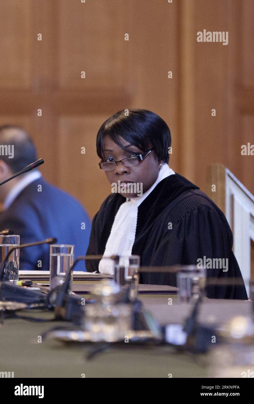 International court of justice hearing hi-res stock photography and ...