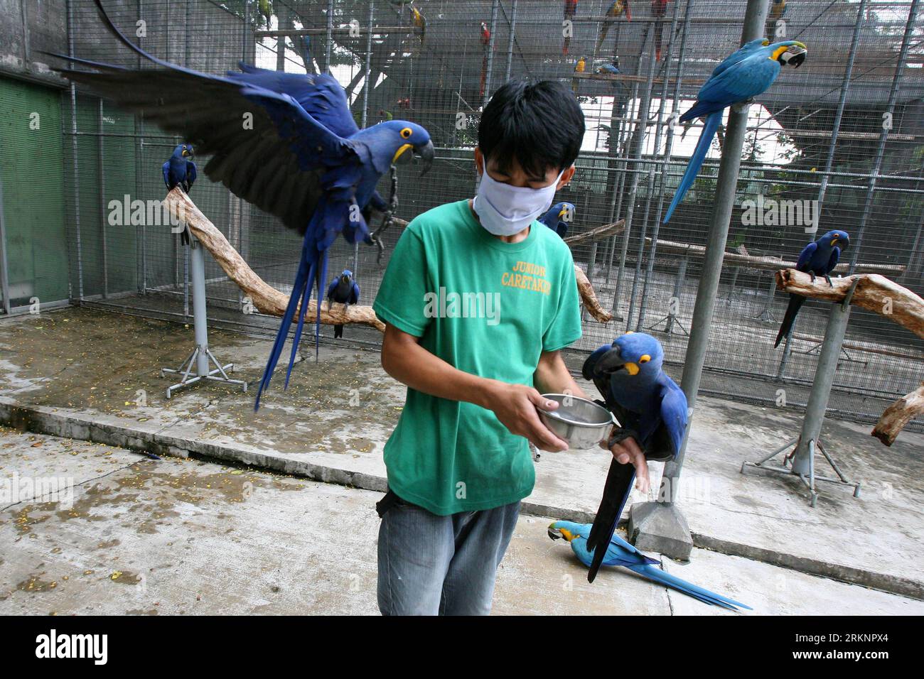 Bildnummer: 57396369 Datum: 13.03.2012 Copyright: imago/Xinhua (120313 ...