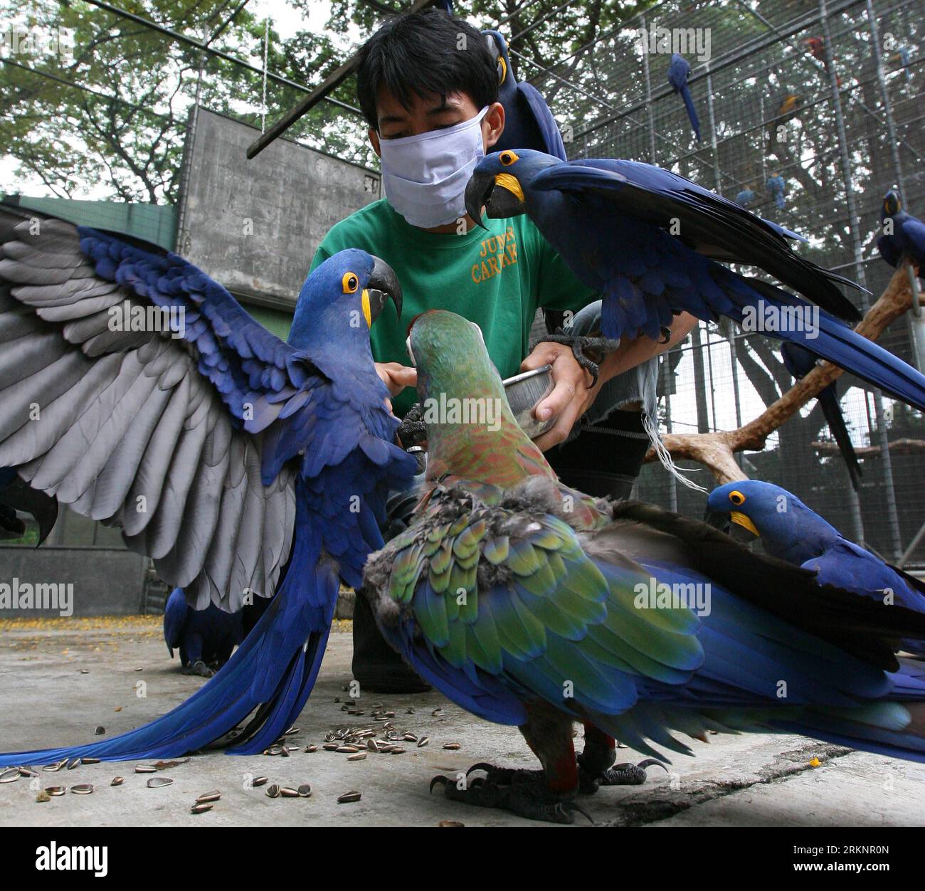 Bildnummer: 57396370 Datum: 13.03.2012 Copyright: imago/Xinhua (120313 ...