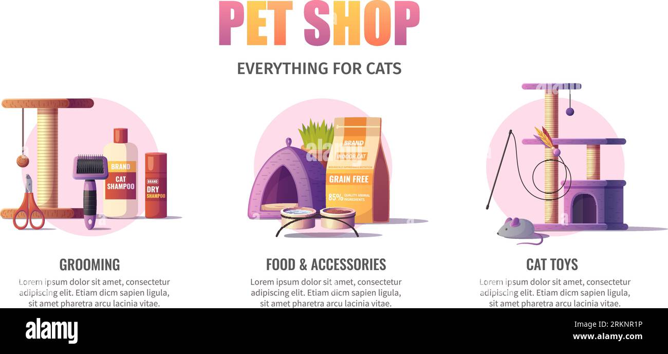 Pet shop everything for cats cartoon infographics with accessories for ...