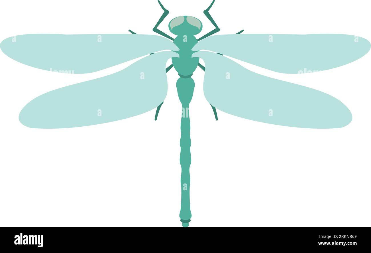 Isolated colored dragonfly insect animal icon Vector Stock Vector Image ...