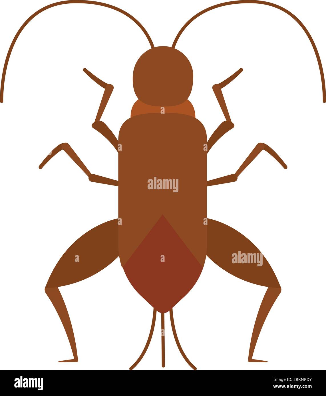 Isolated colored cockroach insect animal icon Vector Stock Vector Image ...