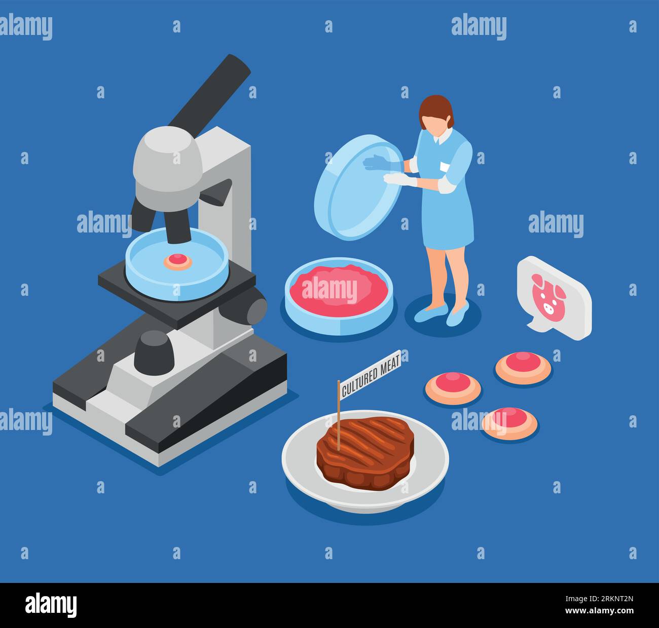 Artificial grown meat blue background with researcher examining beef ...