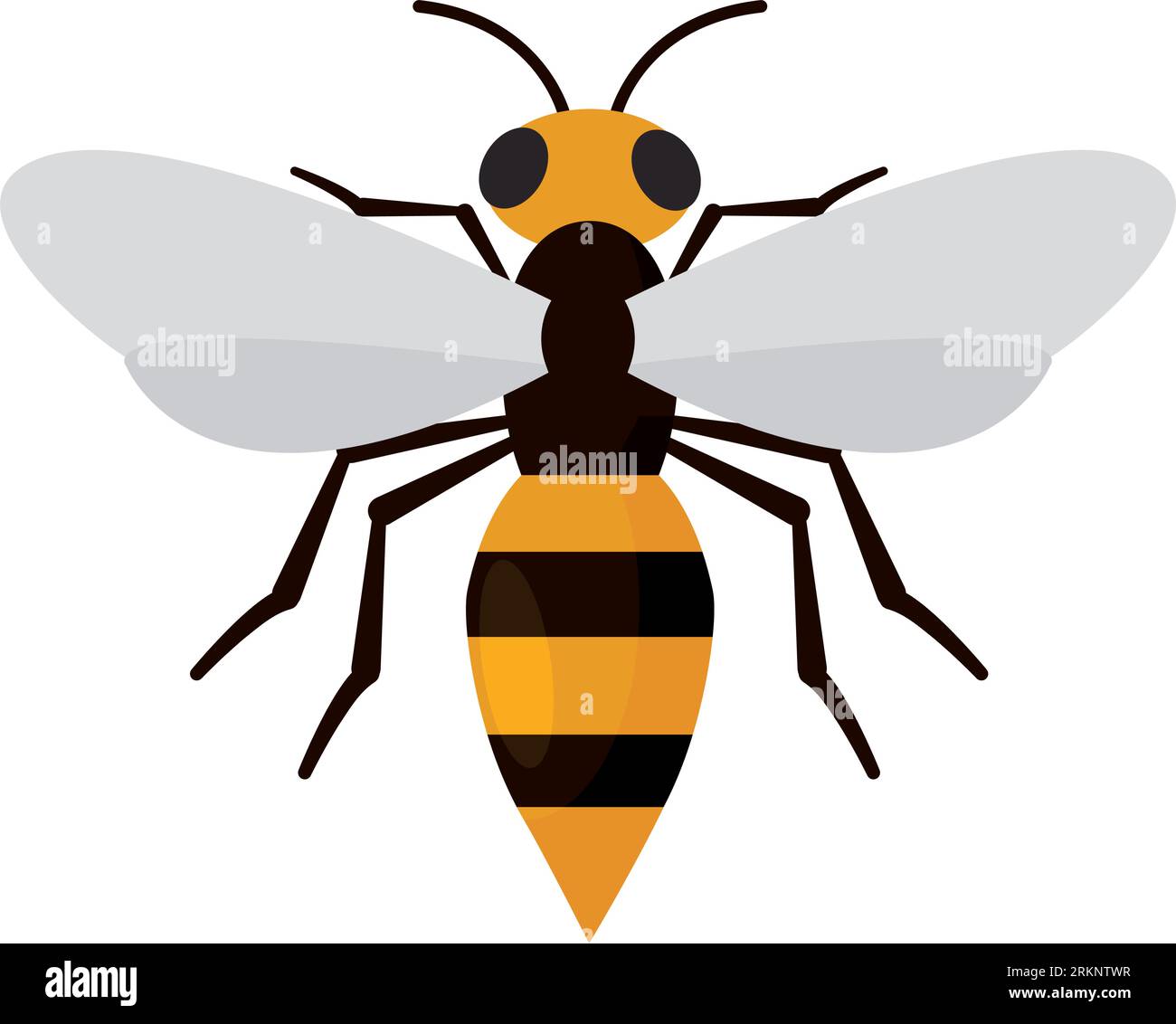 Isolated colored wasp insect animal icon Vector Stock Vector Image ...