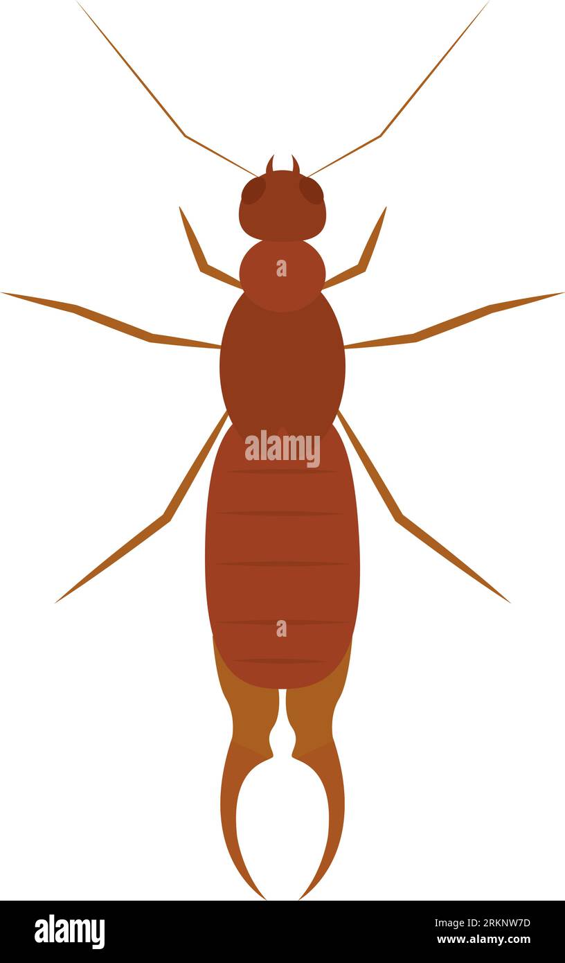 Isolated colored ant insect animal icon Vector Stock Vector Image & Art ...