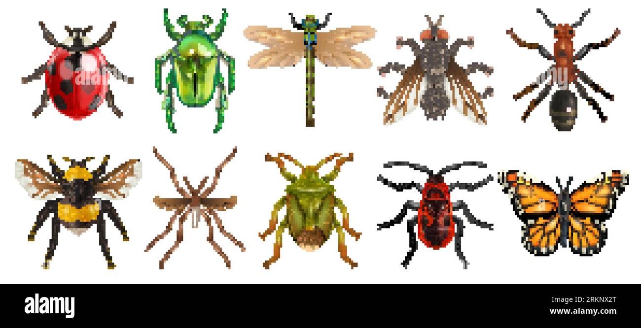 Realistic insect set with isolated top view images of dragonflies ...