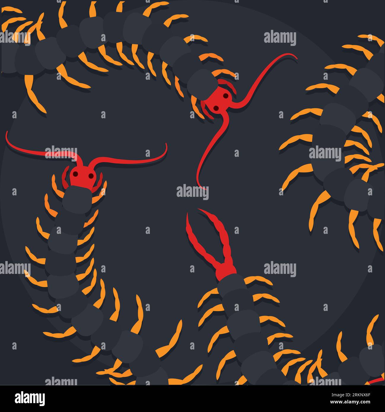 Seamless Pattern Background With Worm Insect Icons Vector Stock Vector