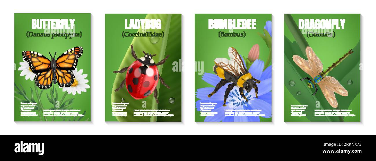 Flying insect images Stock Vector Images - Alamy