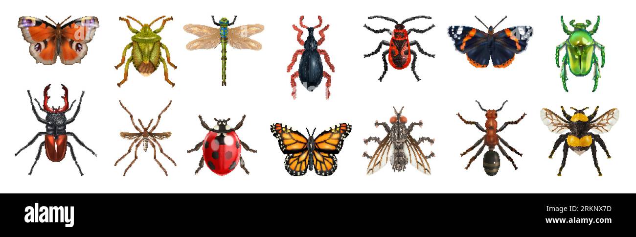 Realistic insect set with isolated top views of various butterflies ...