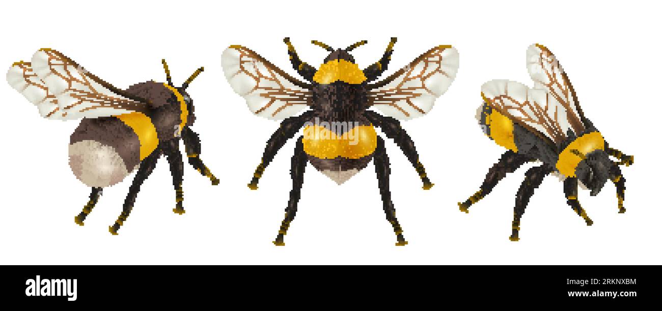 Realistic insect bee set with isolated images of bees with wings ...