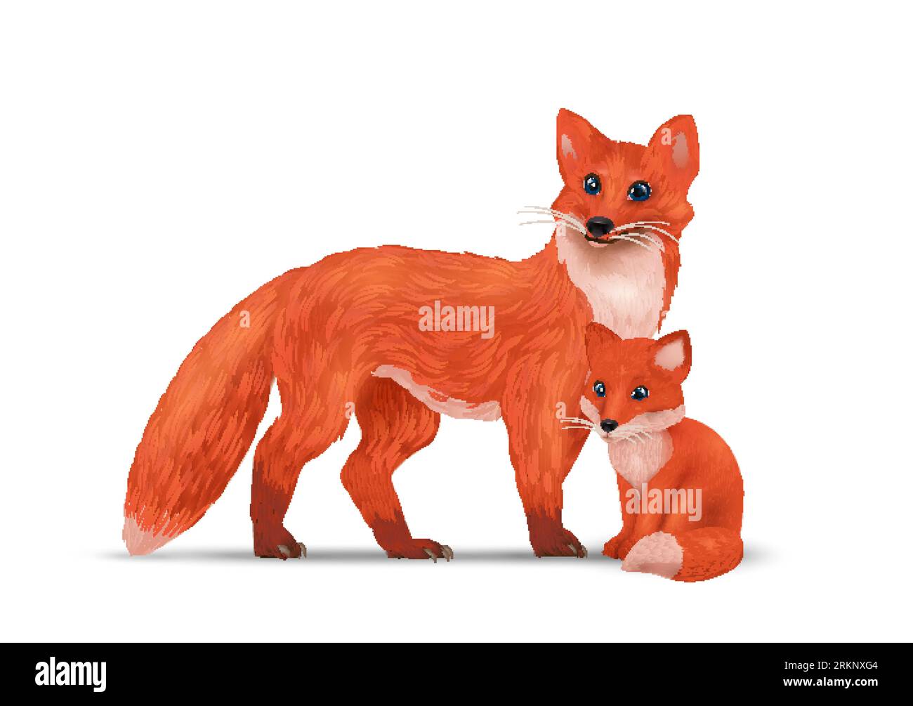 Realistic foxes composition with isolated view of adult specimen and ...