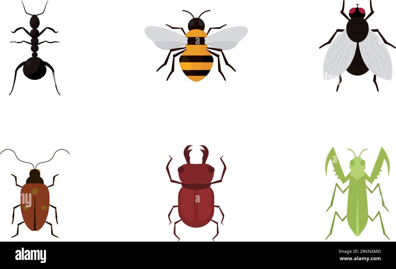 Set of different colored insect icons Vector Stock Vector Image & Art ...