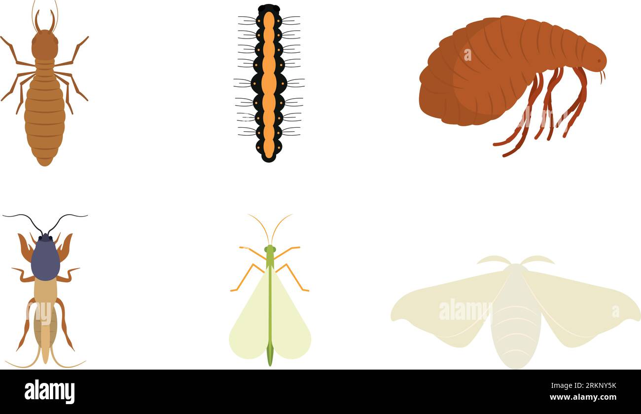 Set of different colored insect icons Vector Stock Vector Image & Art ...