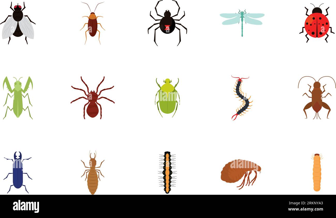 Ladybug insect vector art Stock Vector Images - Alamy