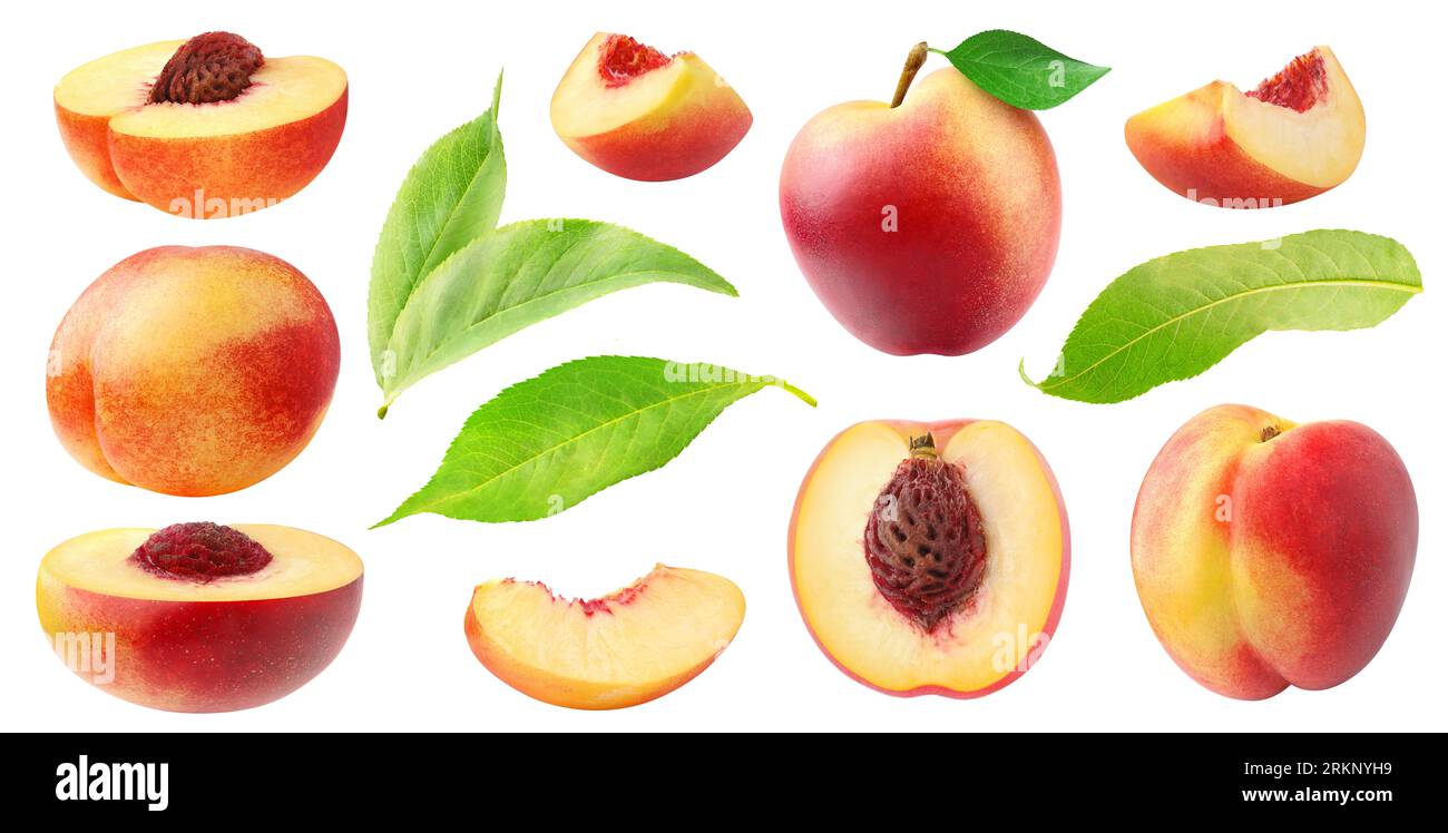 Collection of whole and cut nectarine peach fruits and leaves isolated ... Collection of whole and cut nectarine peach fruits and leaves isolated ...
