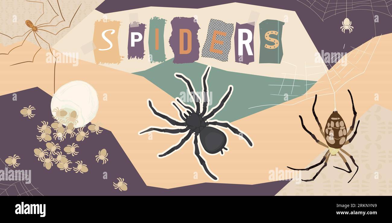 Spider insect composition with collage of flat icons with maggots bugs ...