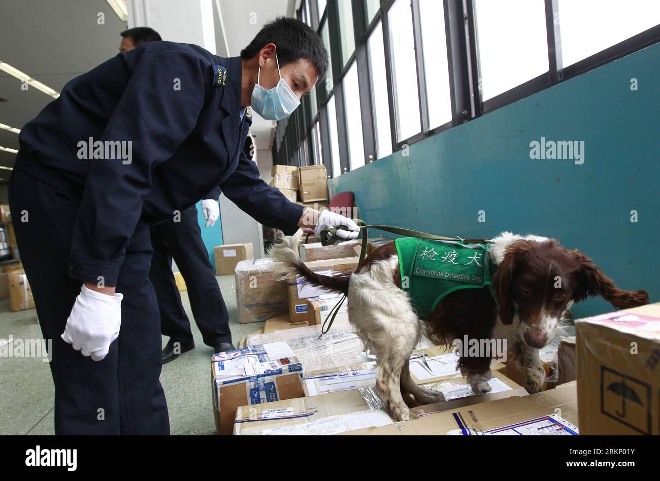 Internatinal help hi-res stock photography and images - Alamy