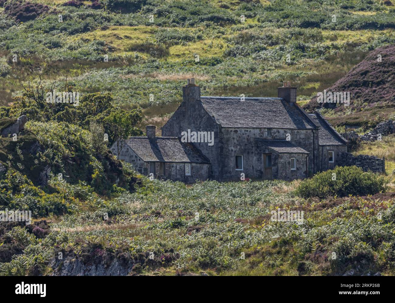 Small grey stone croft on a remote island surrounded by heather and ...