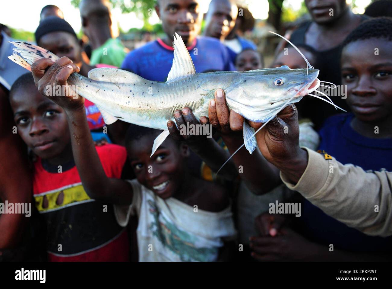 Fish caught in lake malawi hi-res stock photography and images - Alamy