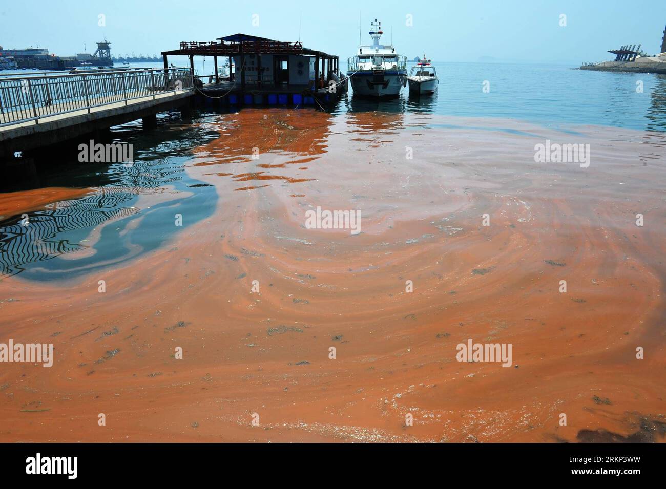 Toxic tides hi-res stock photography and images - Alamy