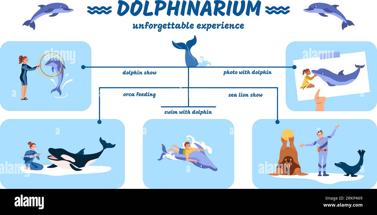 Dolphinarium flat infographic with dolphin and sea lion show photos ...
