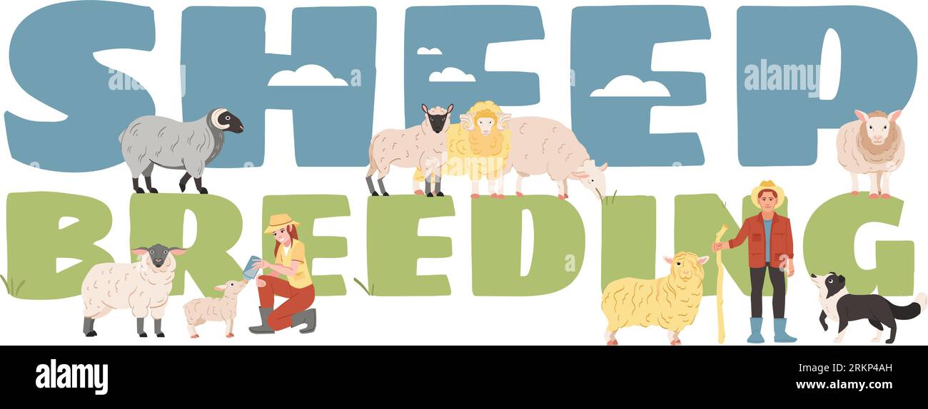 Sheep breeding flat text banner with farmers and various breeds of farm ...