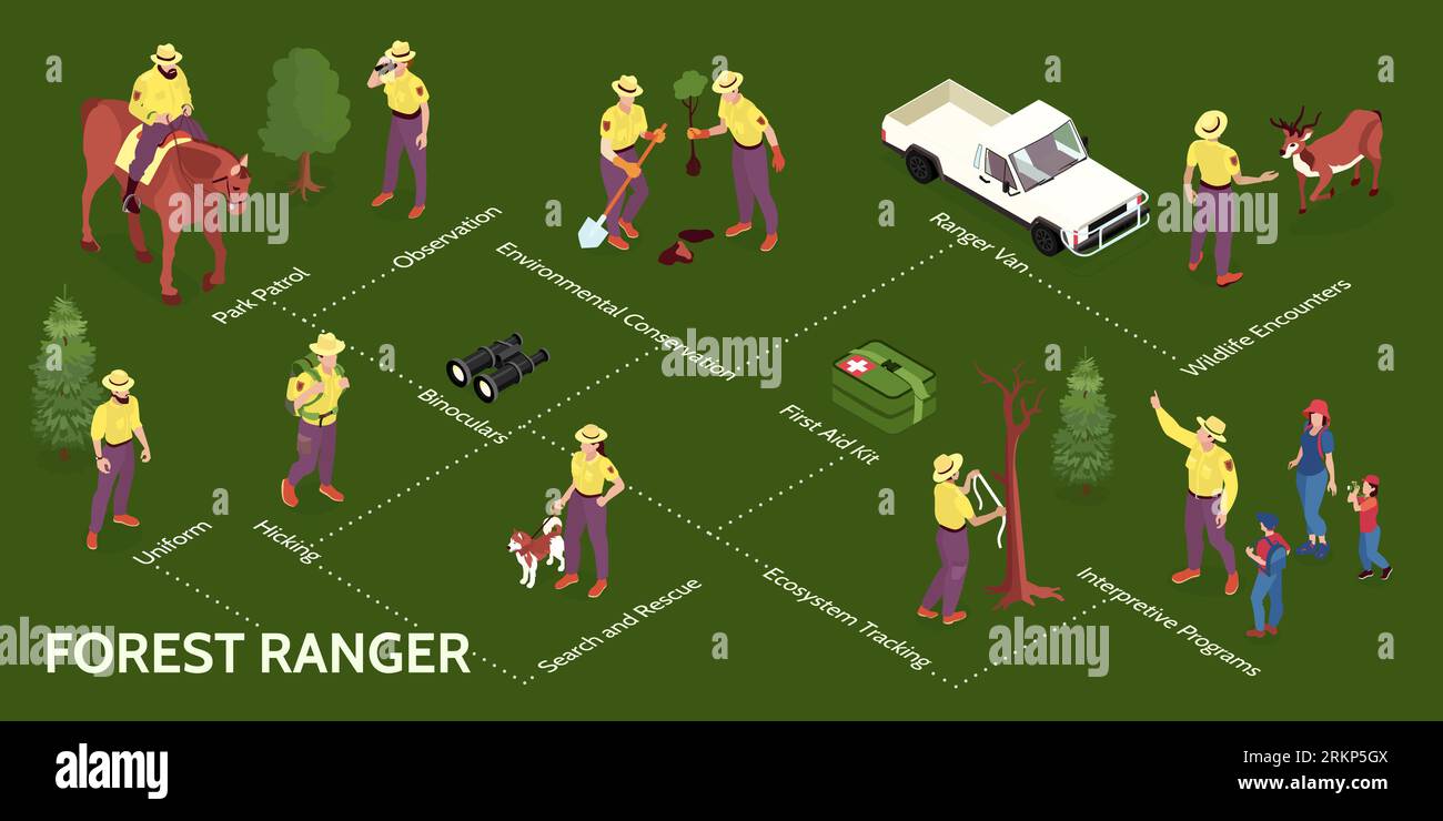 Isometric forest ranger infographics with flowchart of isolated human ...
