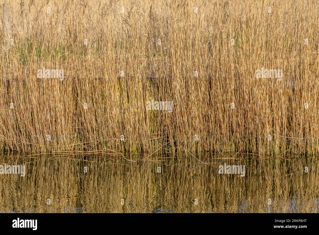 Backwater area hi-res stock photography and images - Alamy