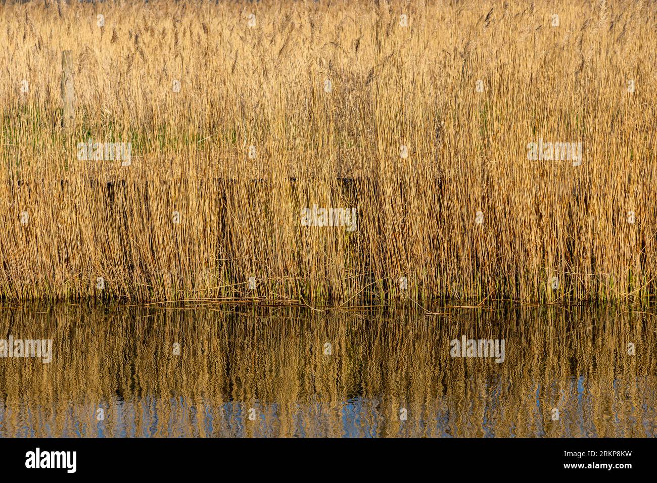 Backwater area hi-res stock photography and images - Alamy