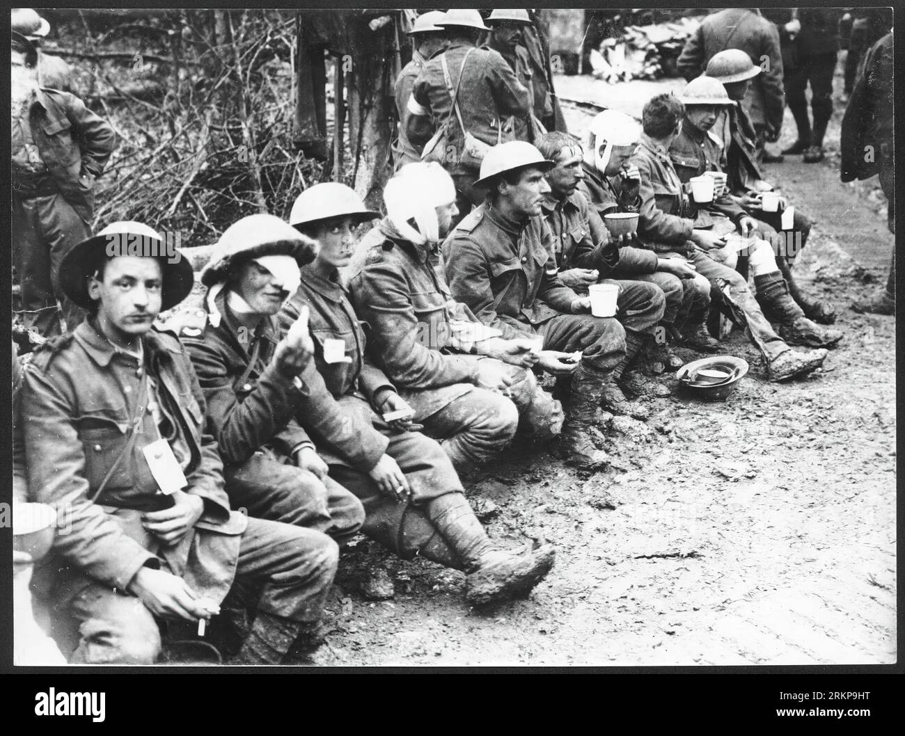 On the Western Front. World War I or the First World War, often ...