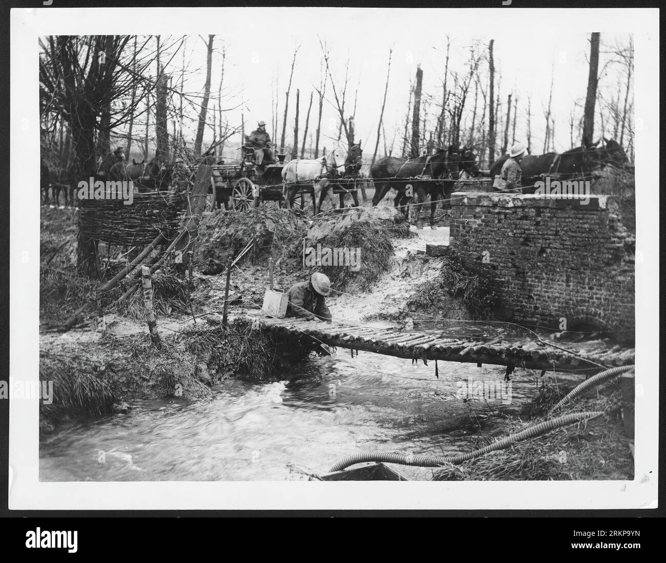 On the Western Front. World War I or the First World War, often ...
