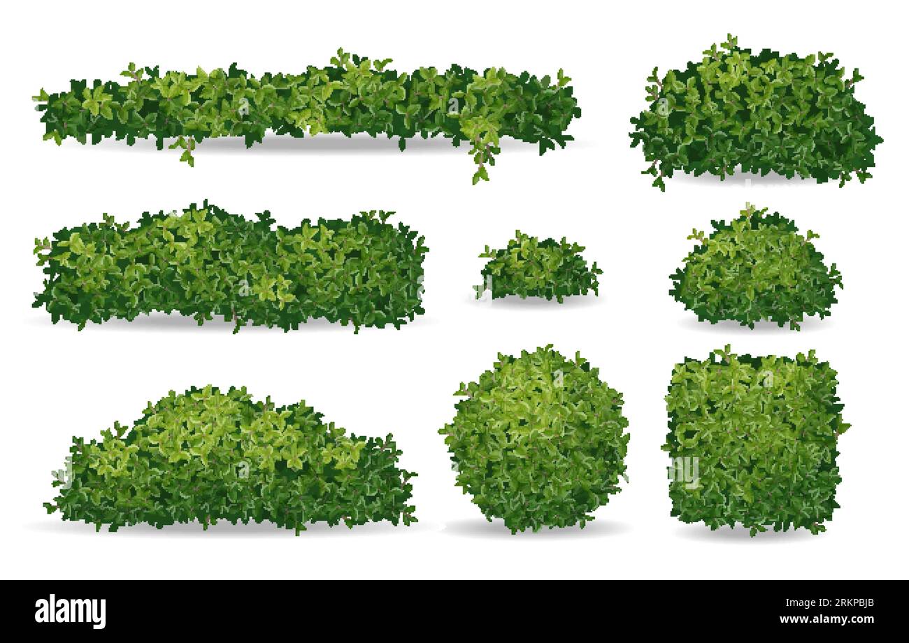 Set of realistic green bushes and tree crowns isolated on white background vector illustration ...