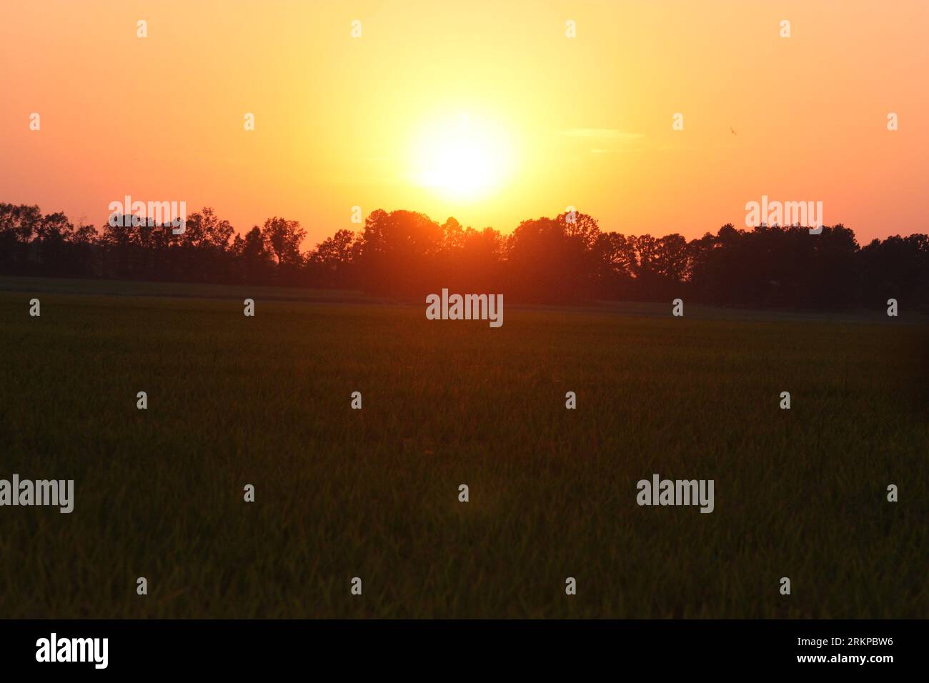 SUNSET ON THE FARM Stock Photo - Alamy