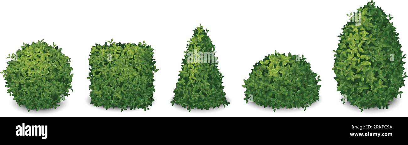 Green bushes in shape of geometrical figures realistic set isolated ...
