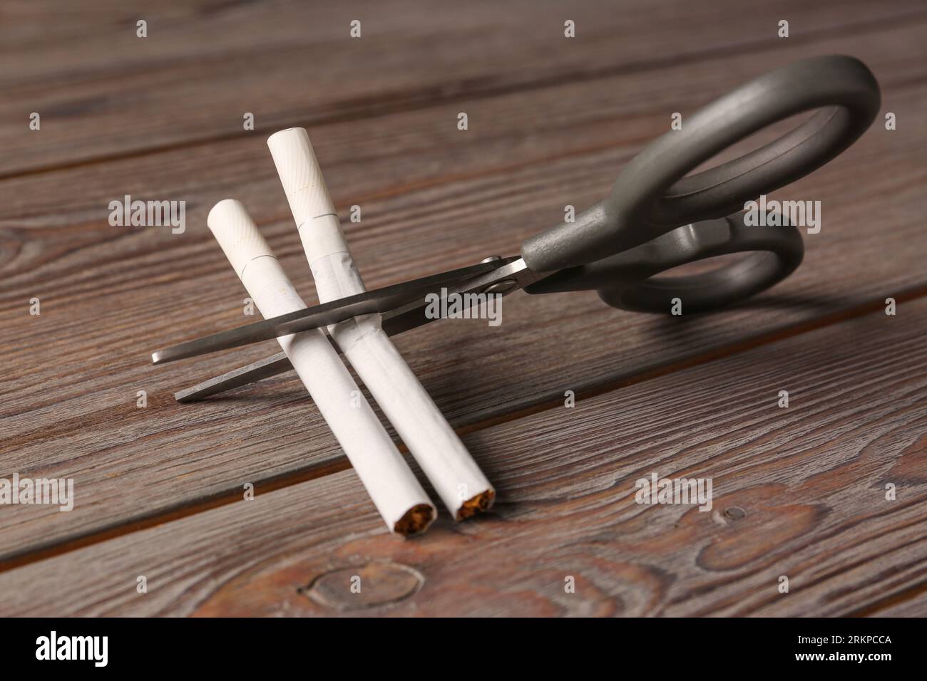Scissors cutting cigarettes on wooden table. No smoking concept Stock ...