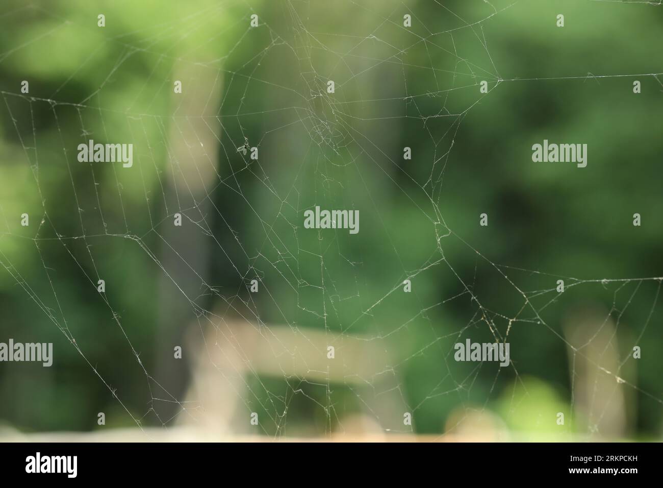 Old dusty cobweb on blurred background, closeup Stock Photo - Alamy