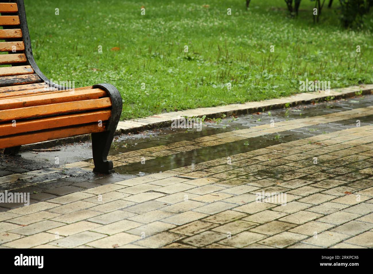 Puddle of rain water near wooden bench on paved pathway in park Stock ...