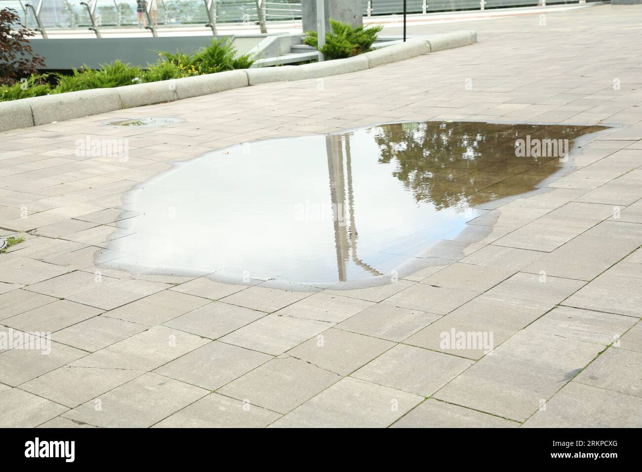 Puddle of rain water on paved pathway outdoors Stock Photo - Alamy