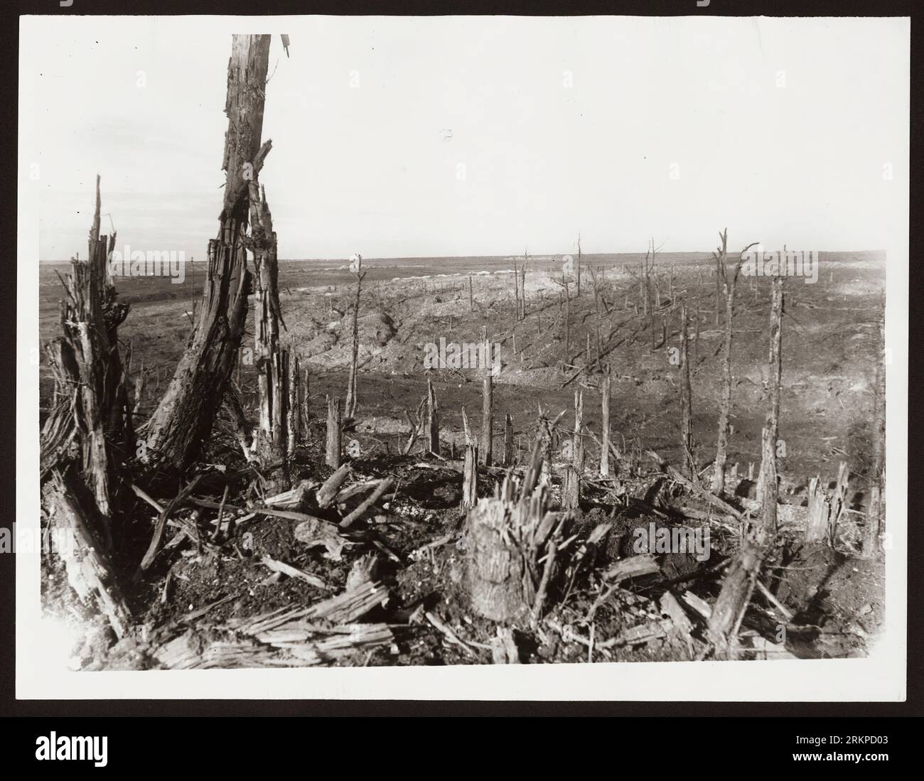 On the Western Front. World War I or the First World War, often ...